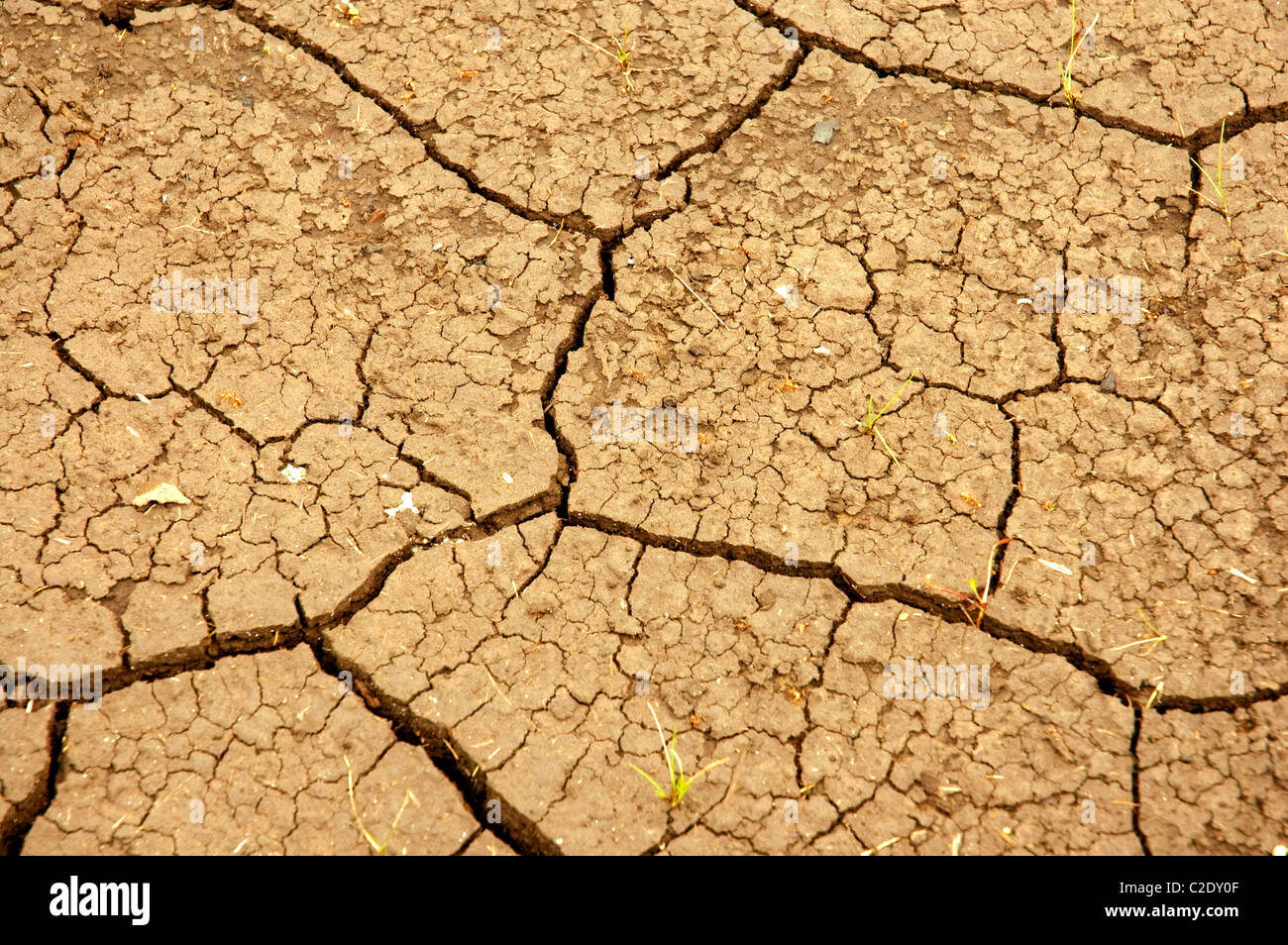 Dried earth hi-res stock photography and images - Alamy