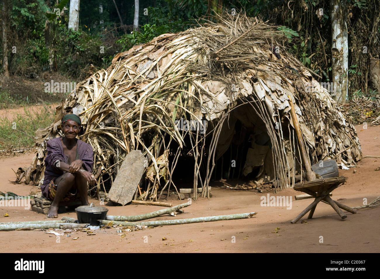 Pygmies in the forest,Republic of Congo Stock Photo - Alamy