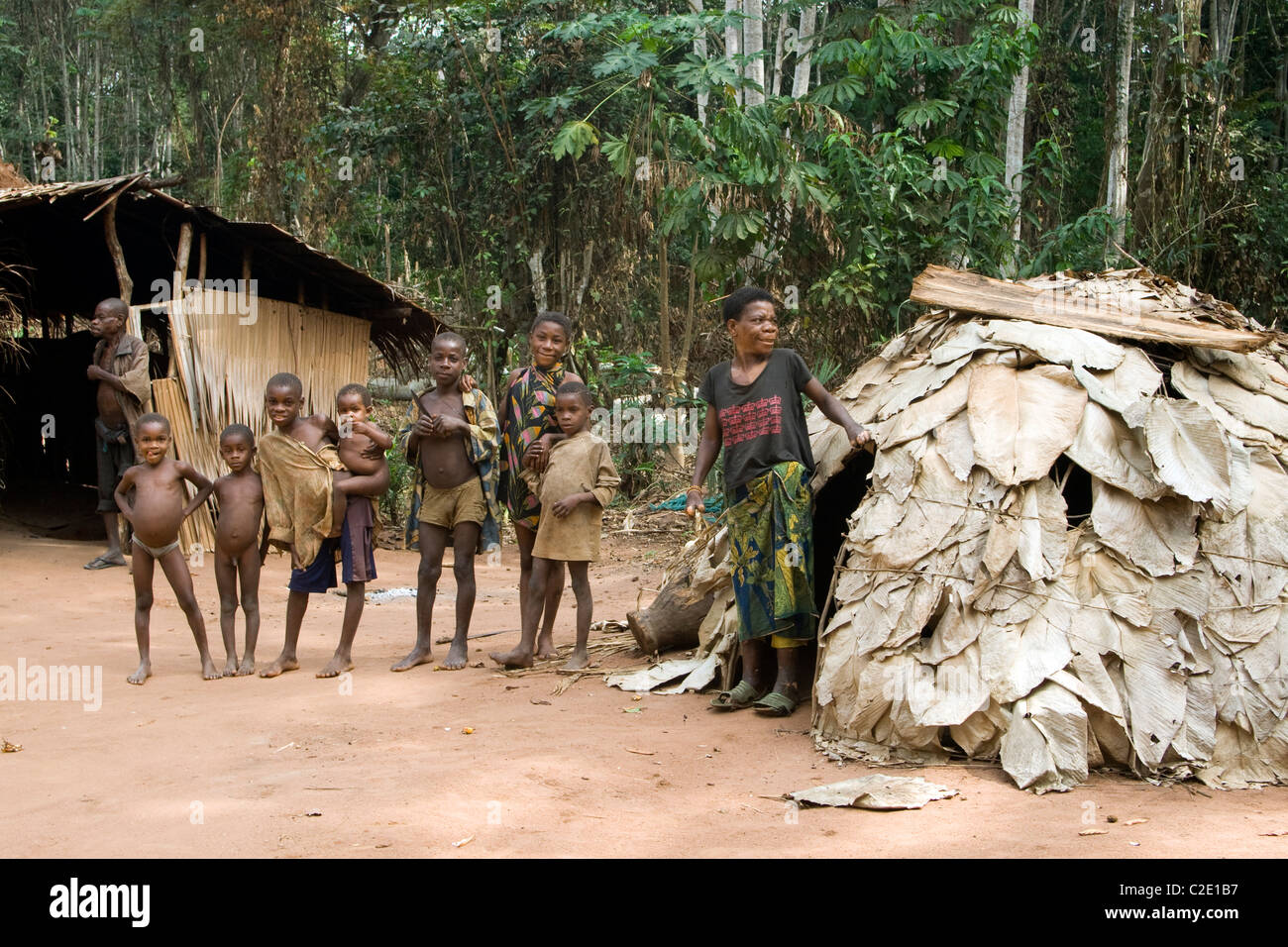 Pygmies in the forest,Republic of Congo Stock Photo - Alamy