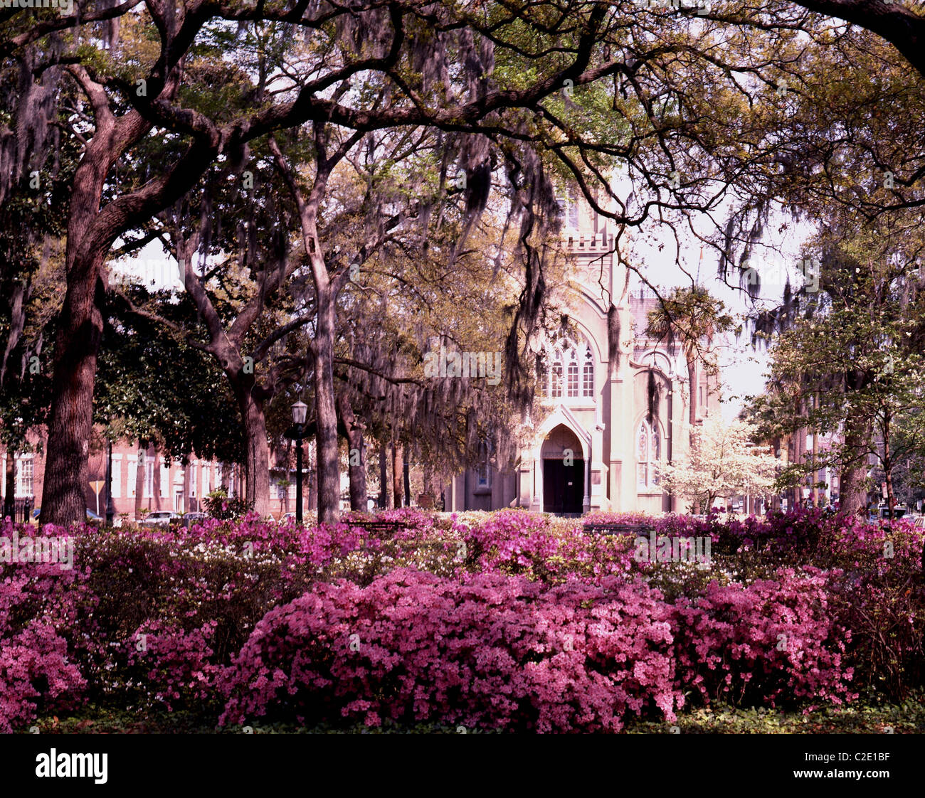 Monterey Square - Savannah, Georgia Stock Photo - Alamy