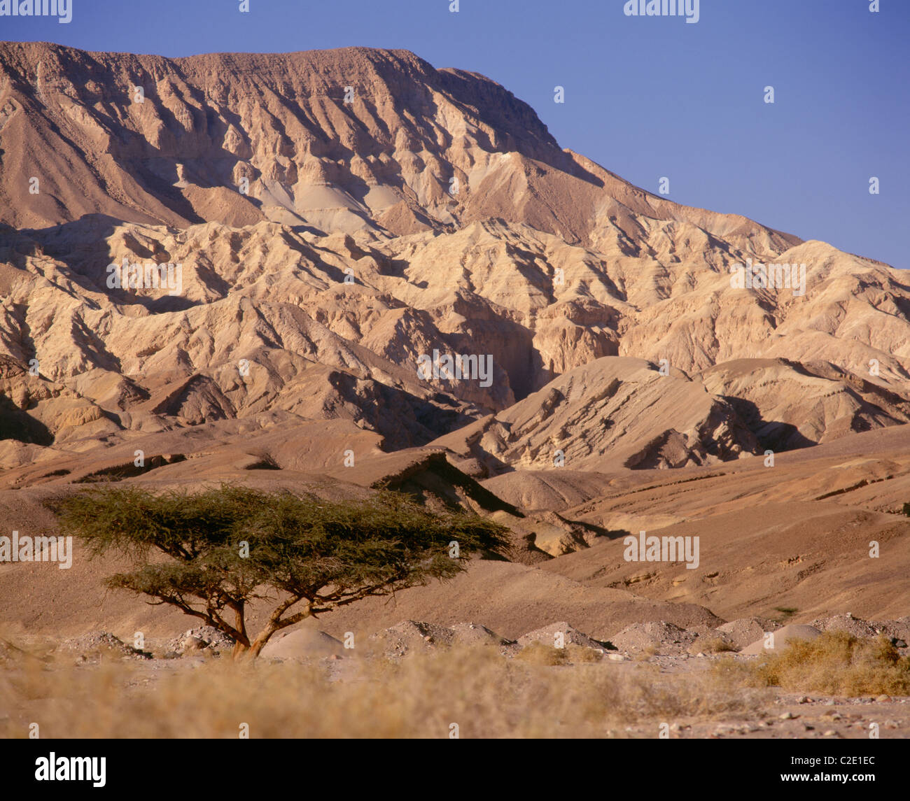 Wadi Feiran Mount Sinai Egypt Stock Photo - Alamy