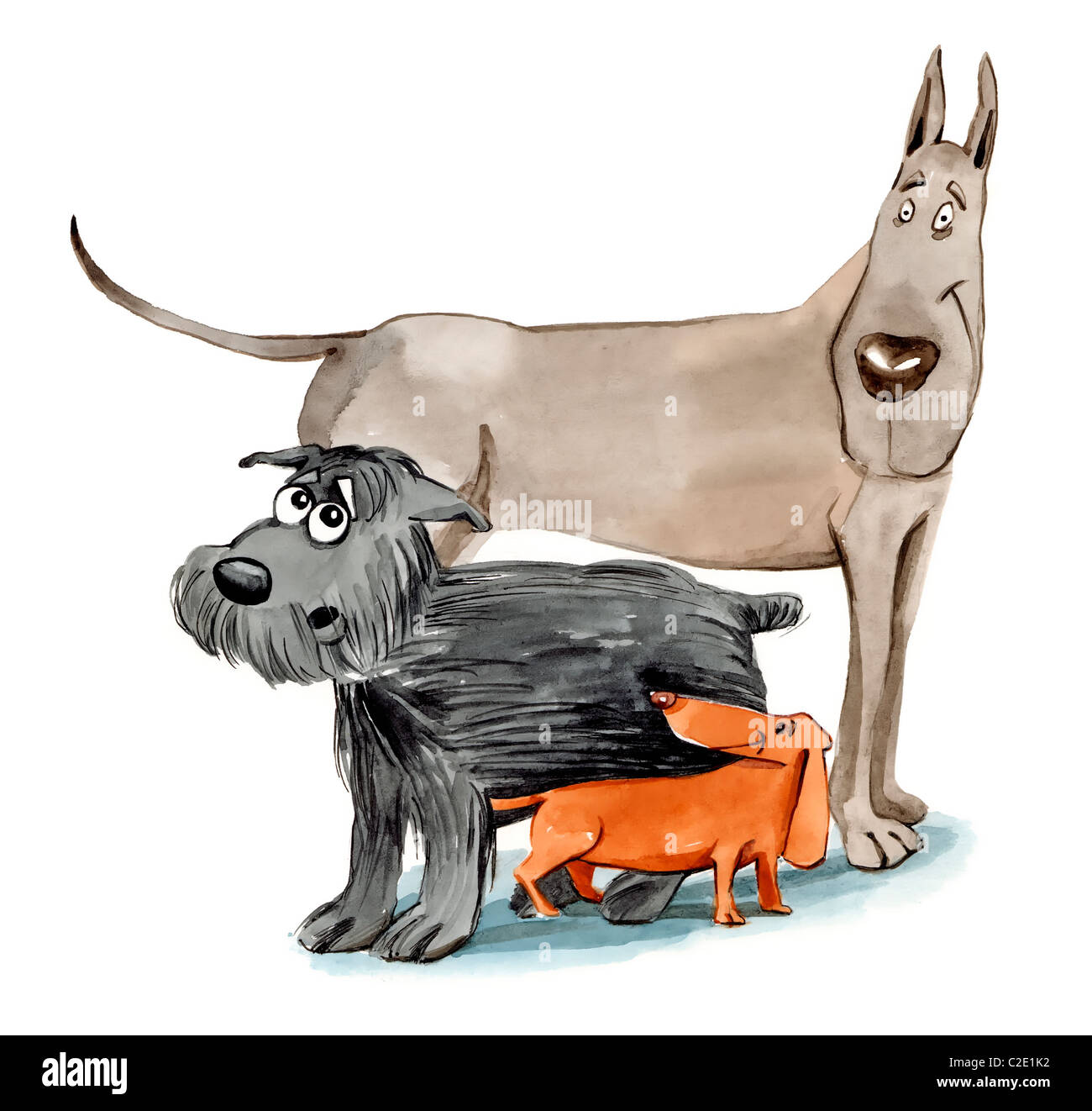 humorous illustration of three dogs in different sizes Stock Photo - Alamy