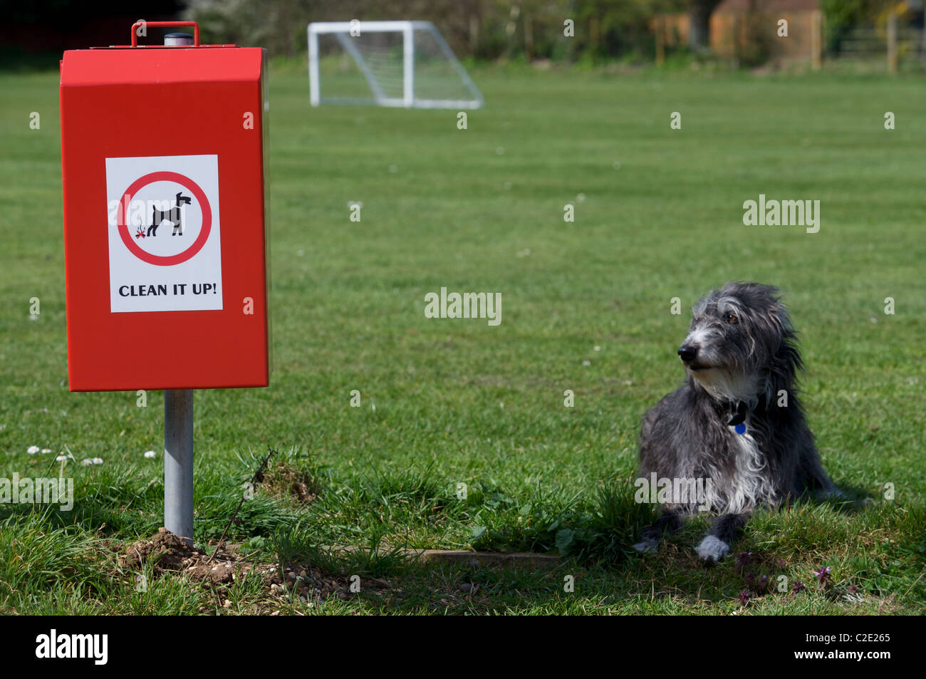 Dog poo bins hi-res stock photography and images - Alamy