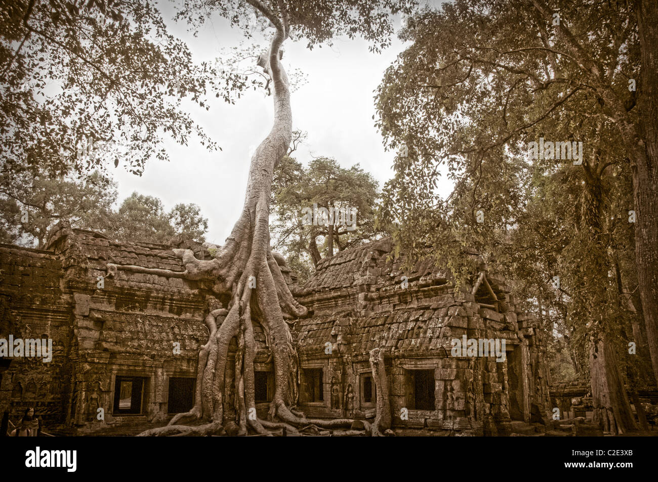 Ta Prom Temple, Angkor, Cambodia - View of the temple, in HDR ...