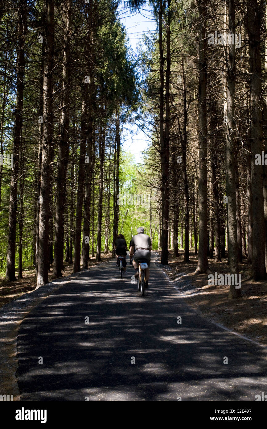 Waterloo, Quebec, Canada; Tourists Cycling Along A Bicycle Path ...