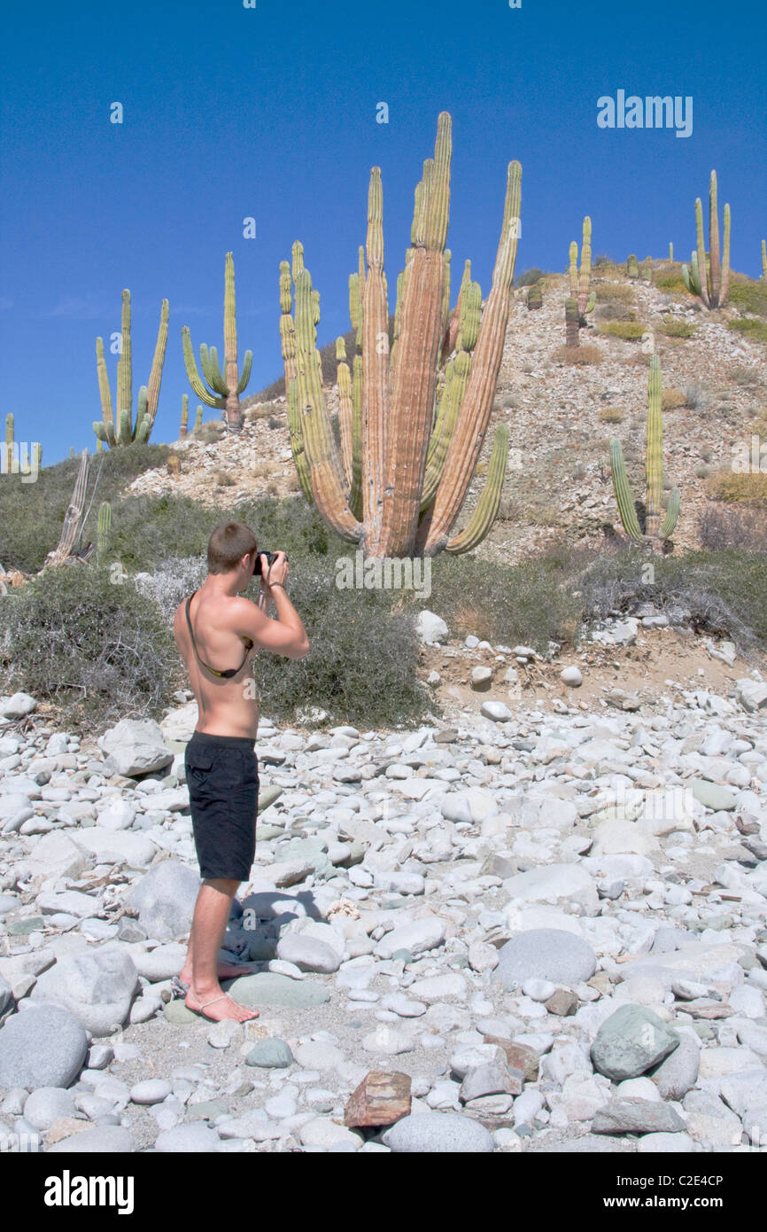 Photographing the huge Cardon cactus at Punta Colorado, Sea of Cortez ...