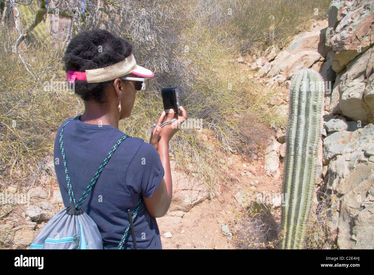 Photographing Cardon cactus at Punta Colorado, Sea of Cortez, Baja ...