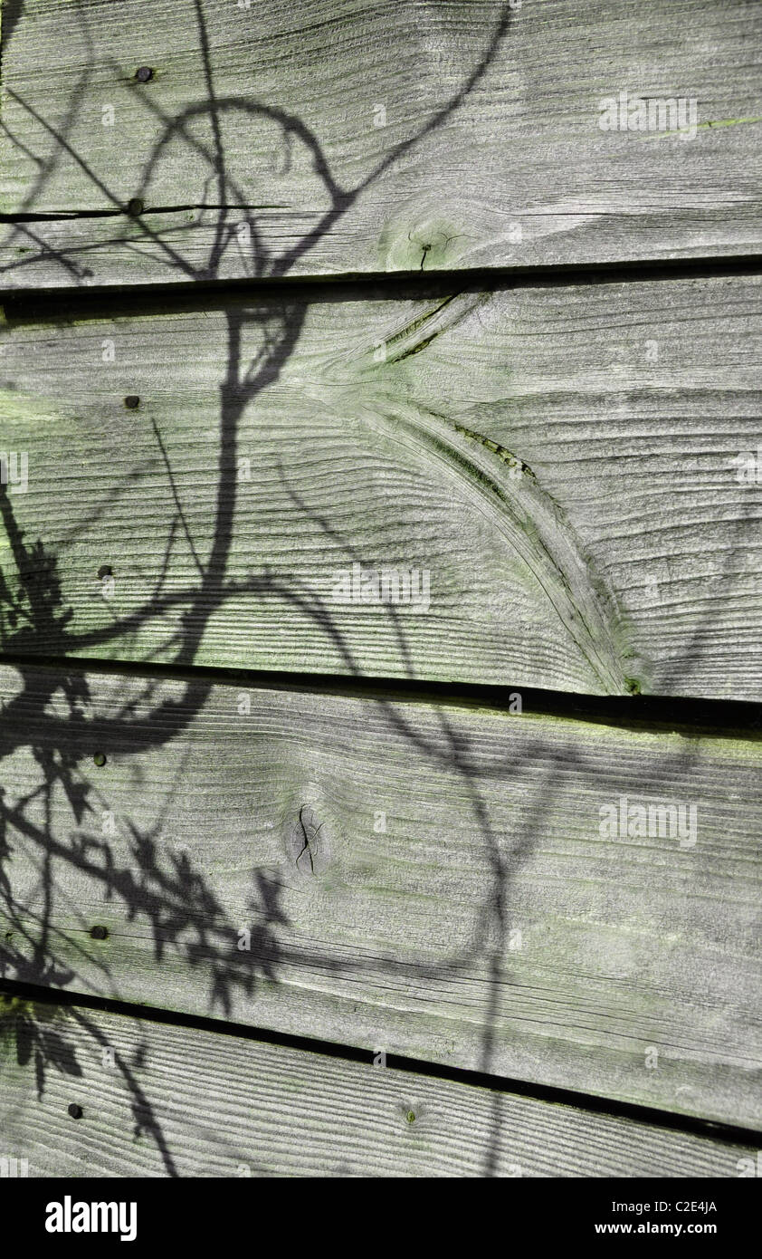 shadows on wood Stock Photo - Alamy