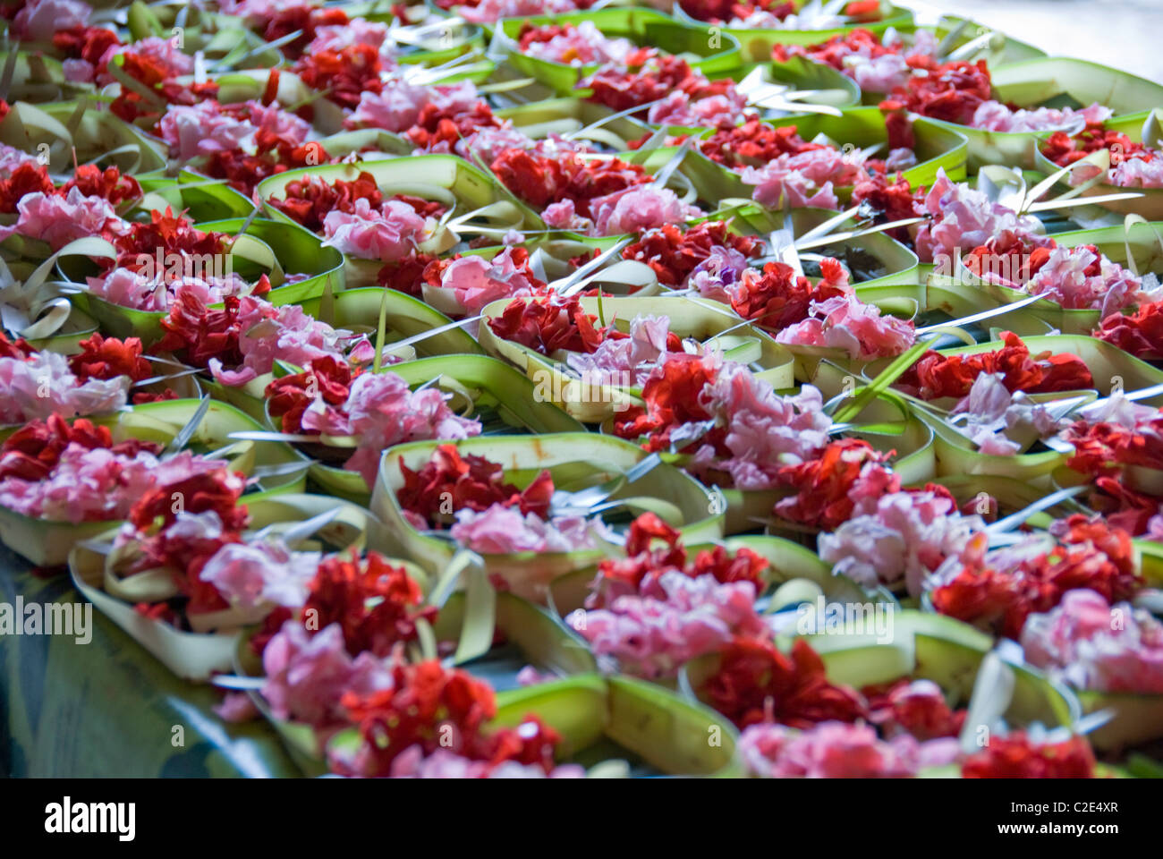 Flowers Bali Indonesia Stock Photo - Alamy