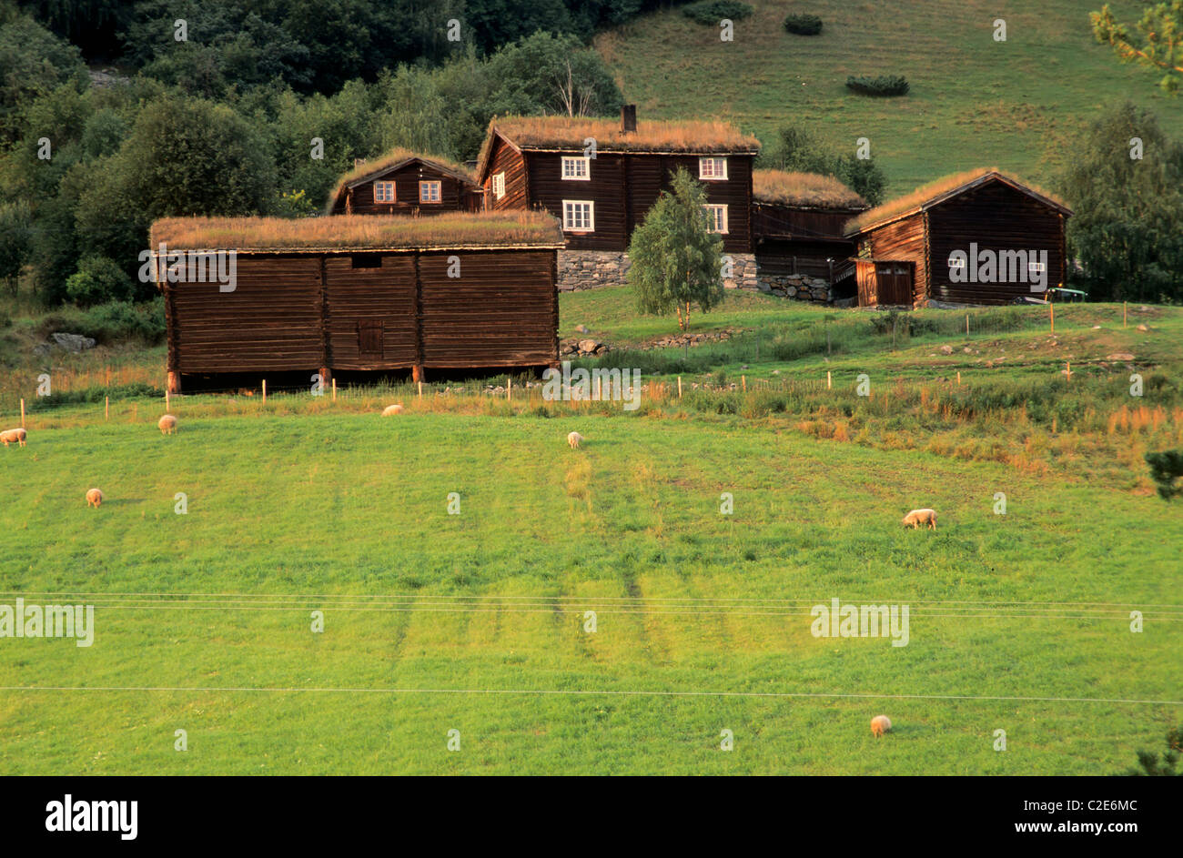 Heidal hi-res stock photography and images - Alamy