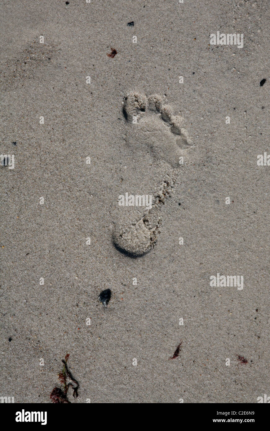 A footprint in the sand Stock Photo - Alamy
