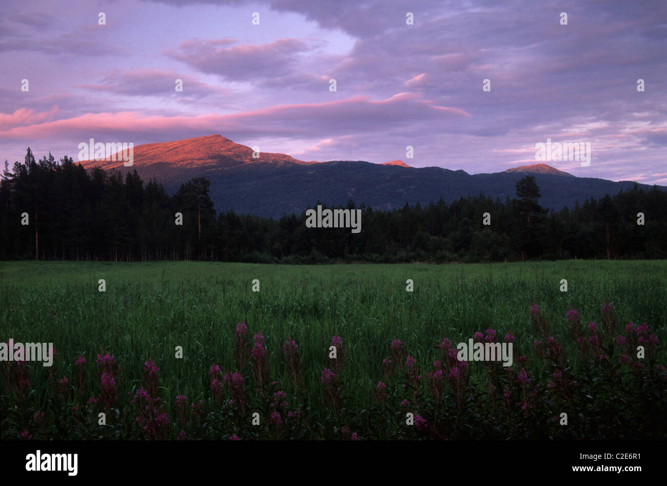 Heidal hi-res stock photography and images - Alamy