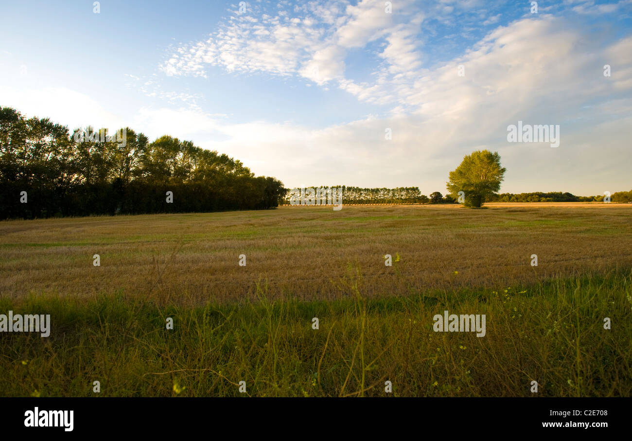 Prairie scene manitoba hi-res stock photography and images - Alamy