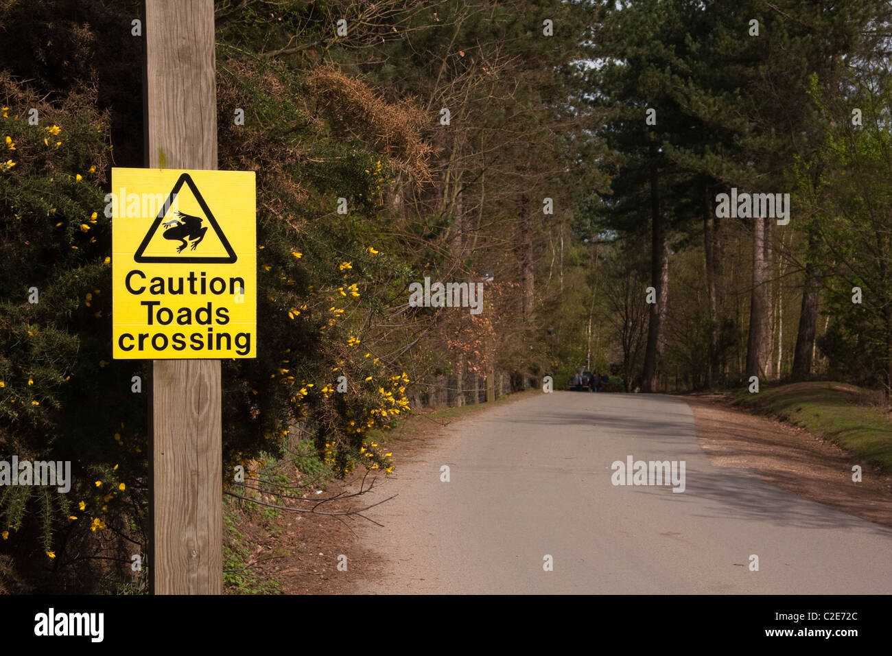 Caution Toads Crossing warning sign at roadside Stock Photo - Alamy