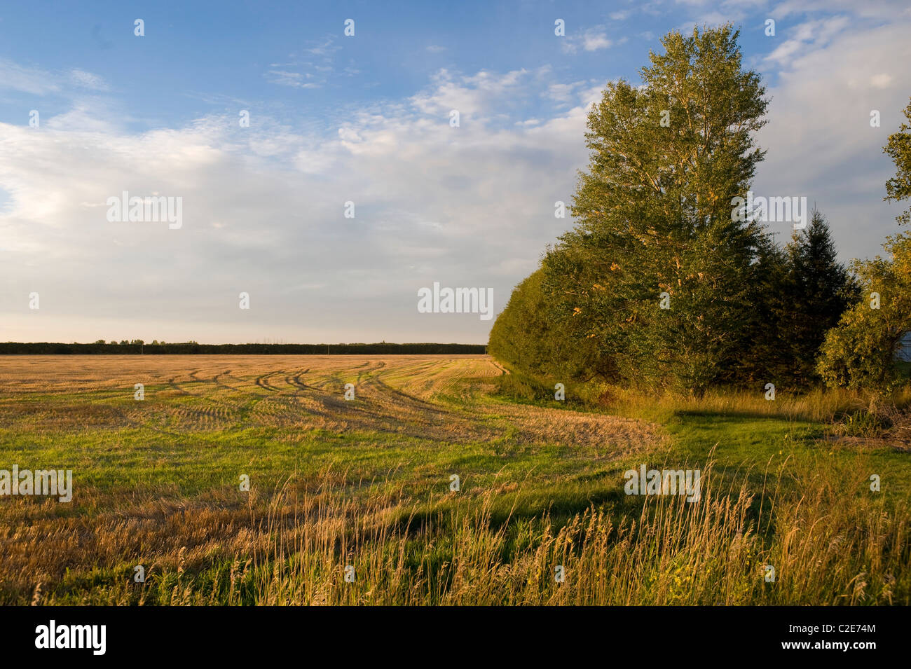 Prairie scene manitoba hi-res stock photography and images - Alamy