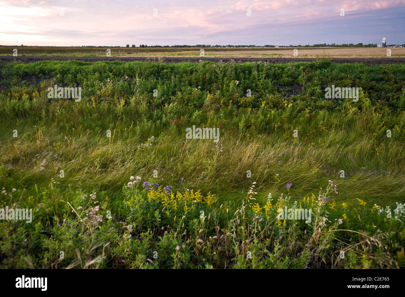 The Prairies, Manitoba, Canada Stock Photo - Alamy