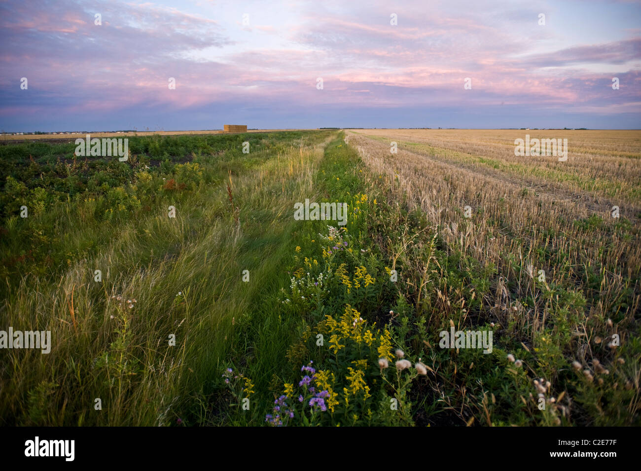 The Prairies, Manitoba, Canada Stock Photo - Alamy