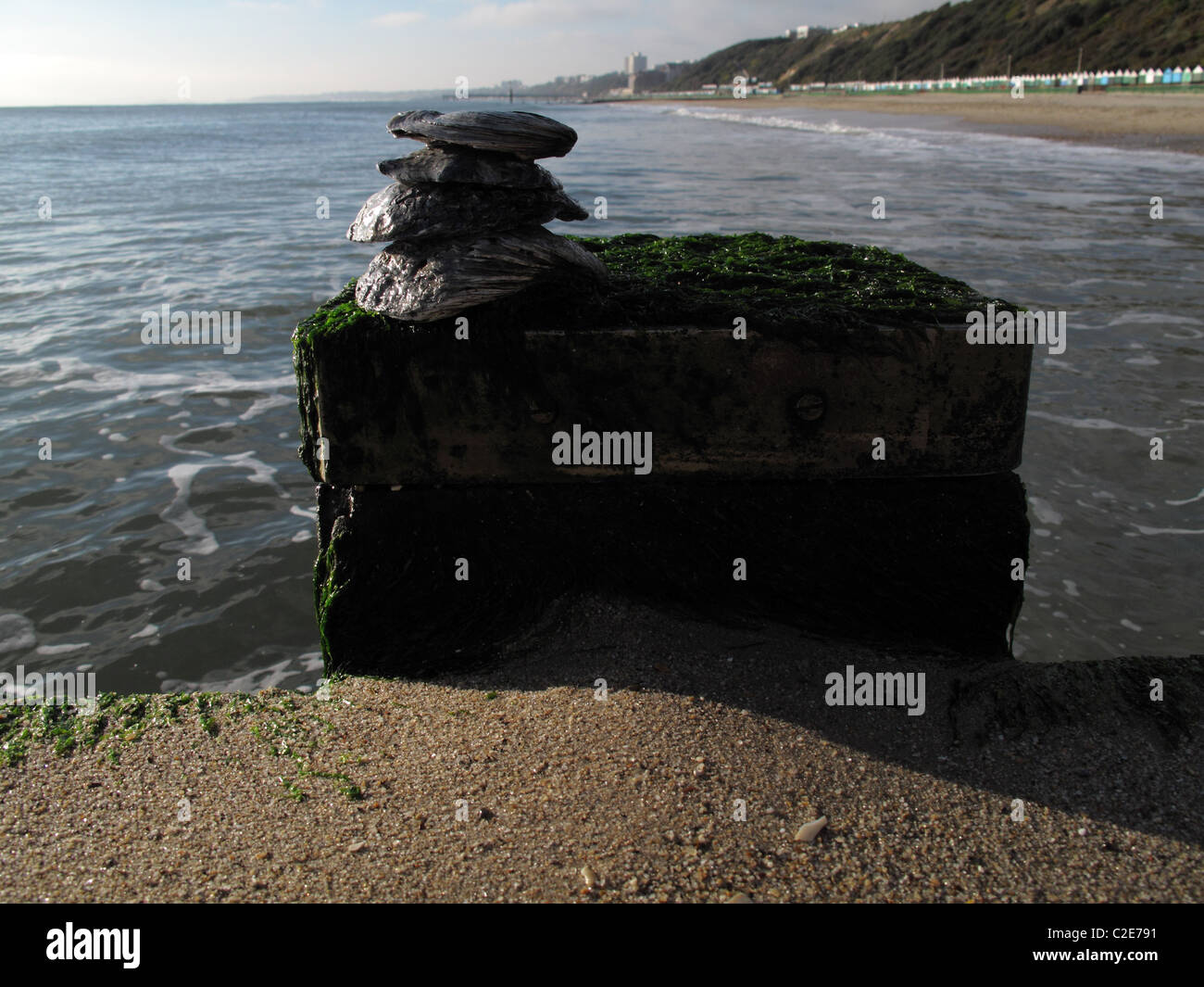 Shell stack hi-res stock photography and images - Alamy