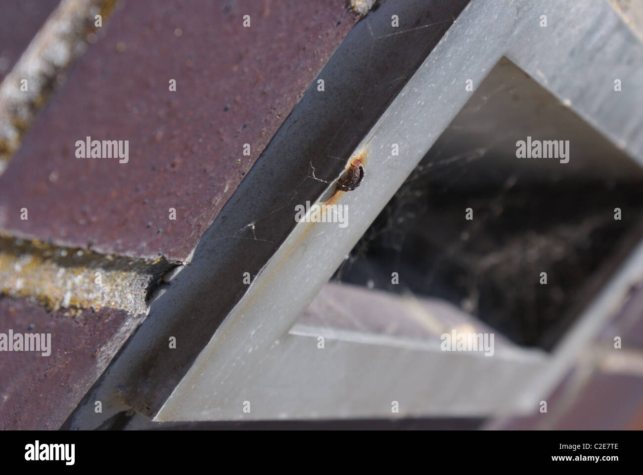 Cobweb empty hi-res stock photography and images - Alamy