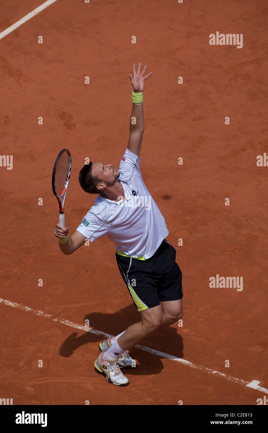 Profile shot of robin hi-res stock photography and images - Alamy