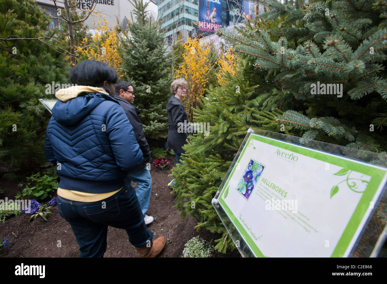 Visitors walk through a "pop-up forest" in Times Square in New York ...