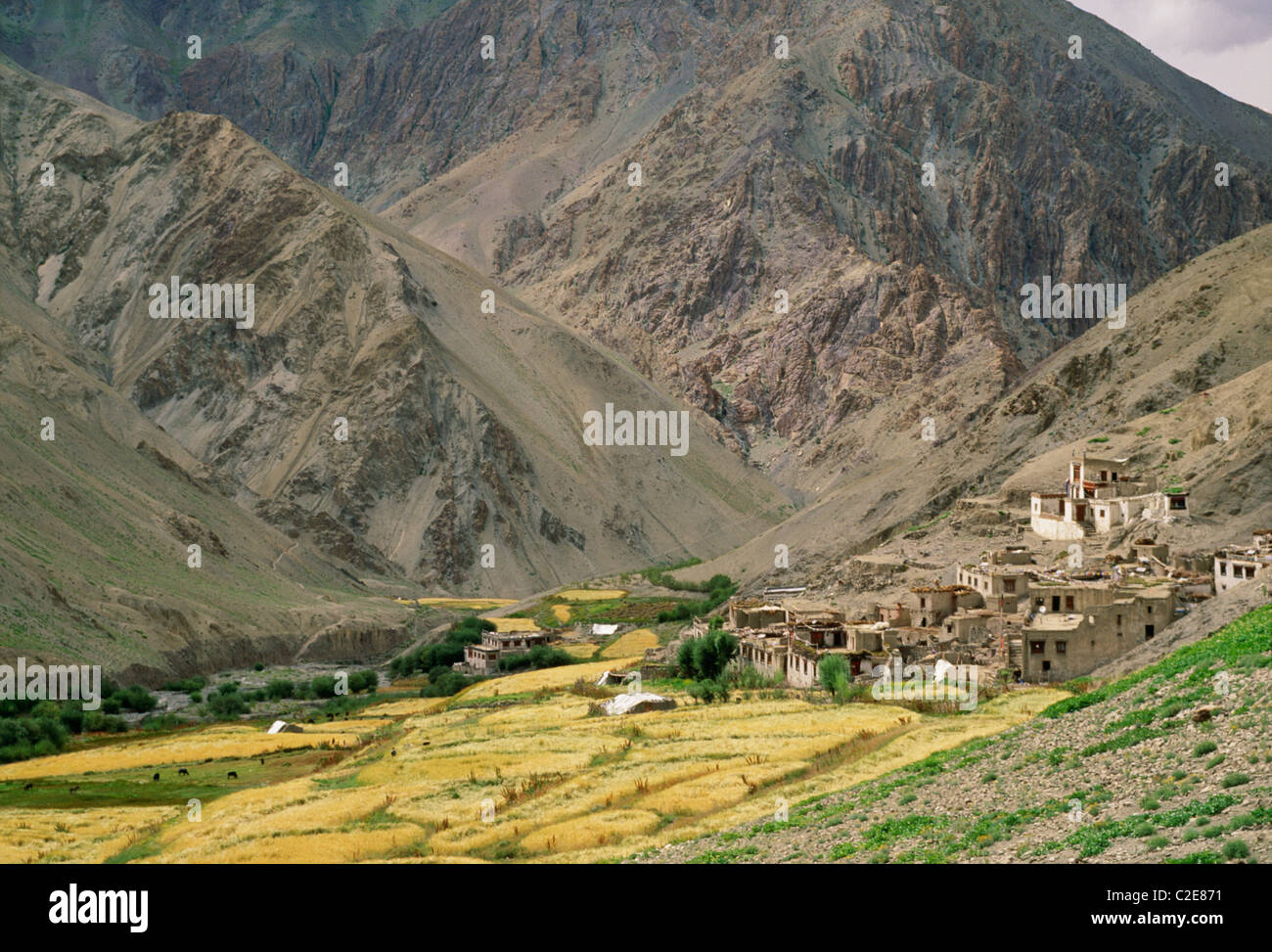 Rumbak Valley Ladakh India Stock Photo - Alamy