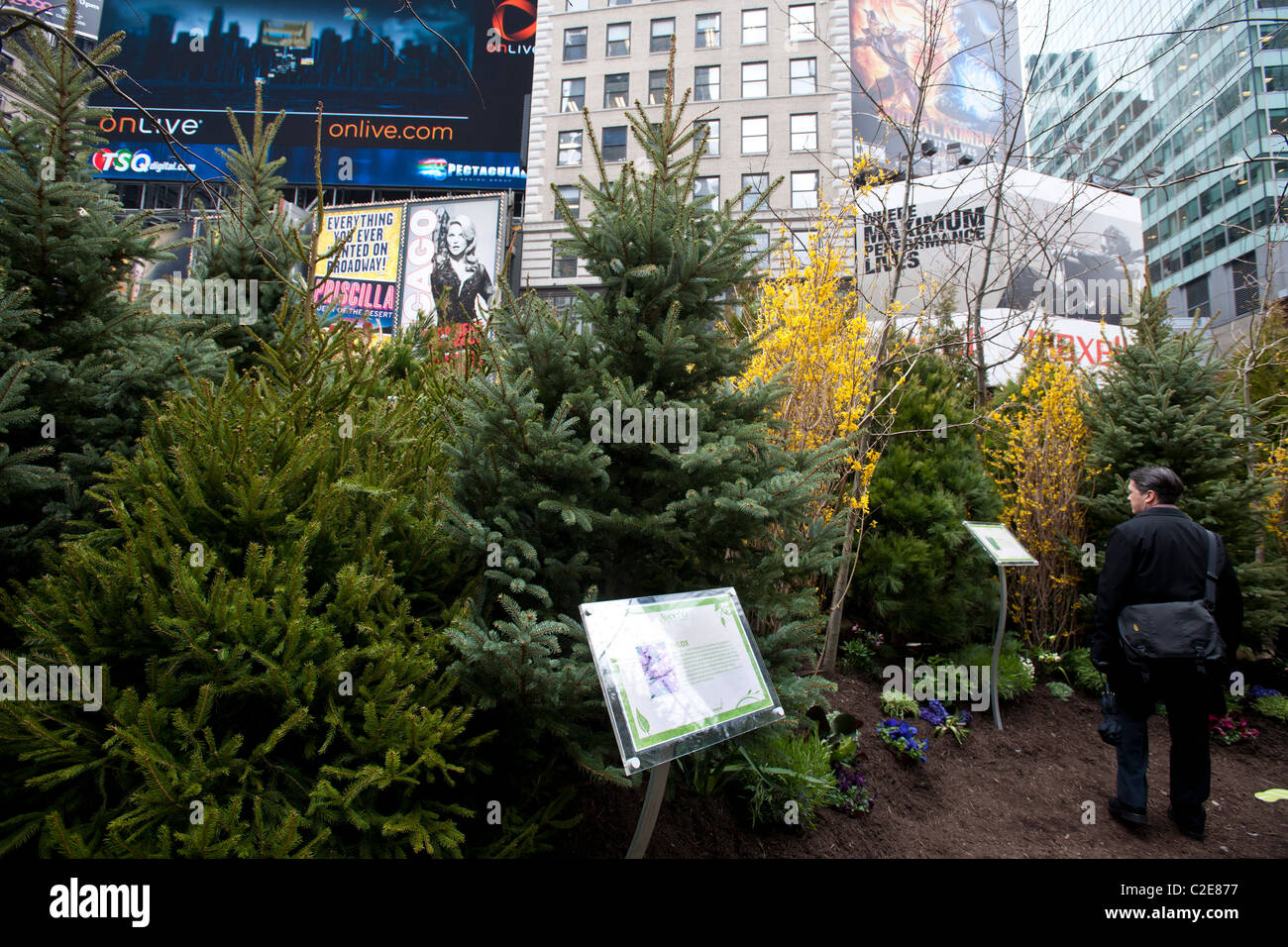 Visitors walk through a "pop-up forest" in Times Square in New York ...