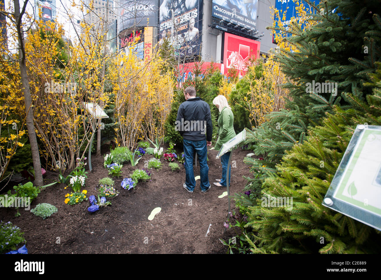 Visitors walk through a "pop-up forest" in Times Square in New York ...
