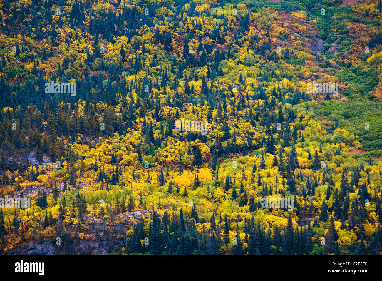 Yukon territory landscapes hi-res stock photography and images - Alamy