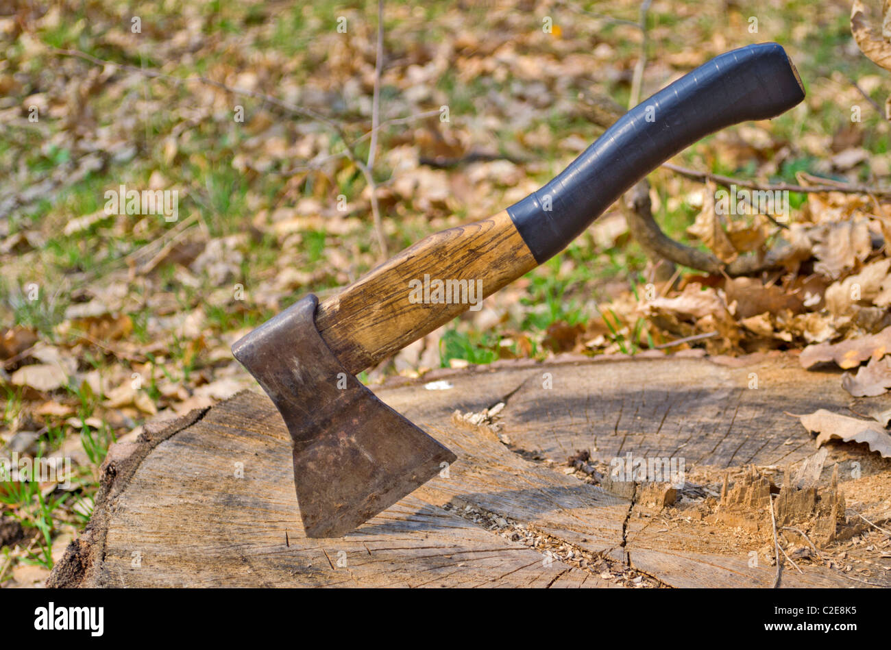 Iron axe in tree stub Stock Photo - Alamy
