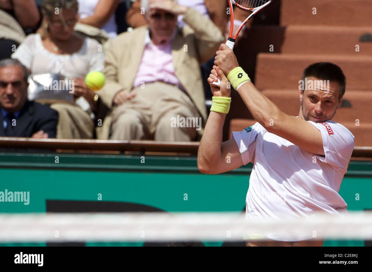 Profile shot of robin hi-res stock photography and images - Alamy