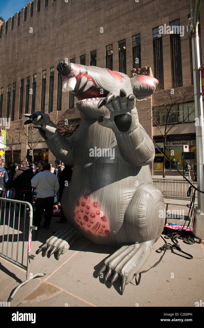 Union rat hi-res stock photography and images - Alamy