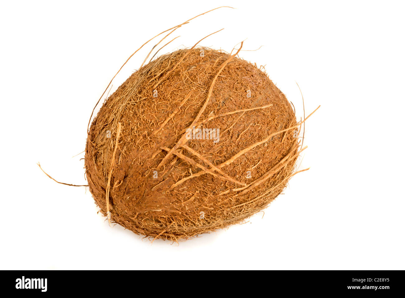 single coconut, isolated on white background image Stock Photo - Alamy