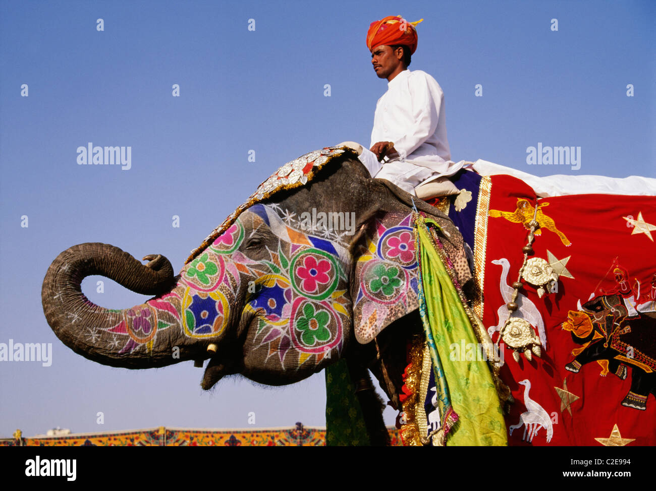 Annual March Rajasthan Elephant festival is held in Jaipur the day ...