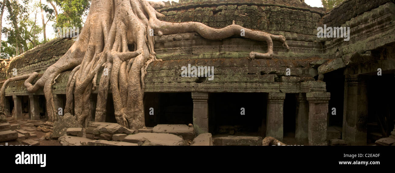 Ta Prom Temple, Angkor, Cambodia - panoramic view from inside the ...