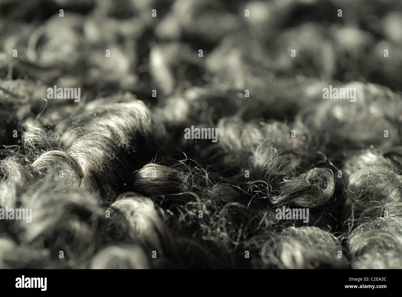 Woolly grey sheep hi-res stock photography and images - Alamy