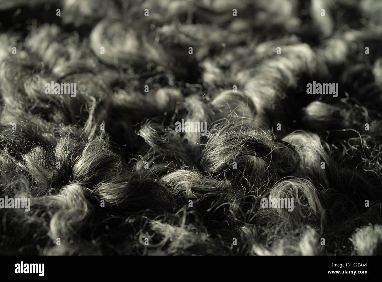 Woolly grey sheep hi-res stock photography and images - Alamy
