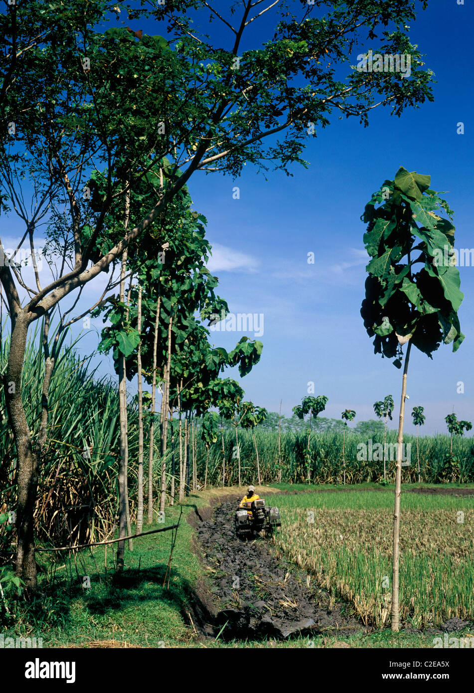 Madiun Java Indonesia Stock Photo - Alamy
