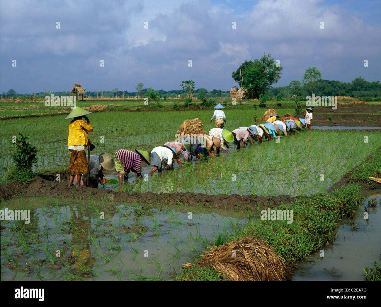 Madiun Java Indonesia Stock Photo - Alamy