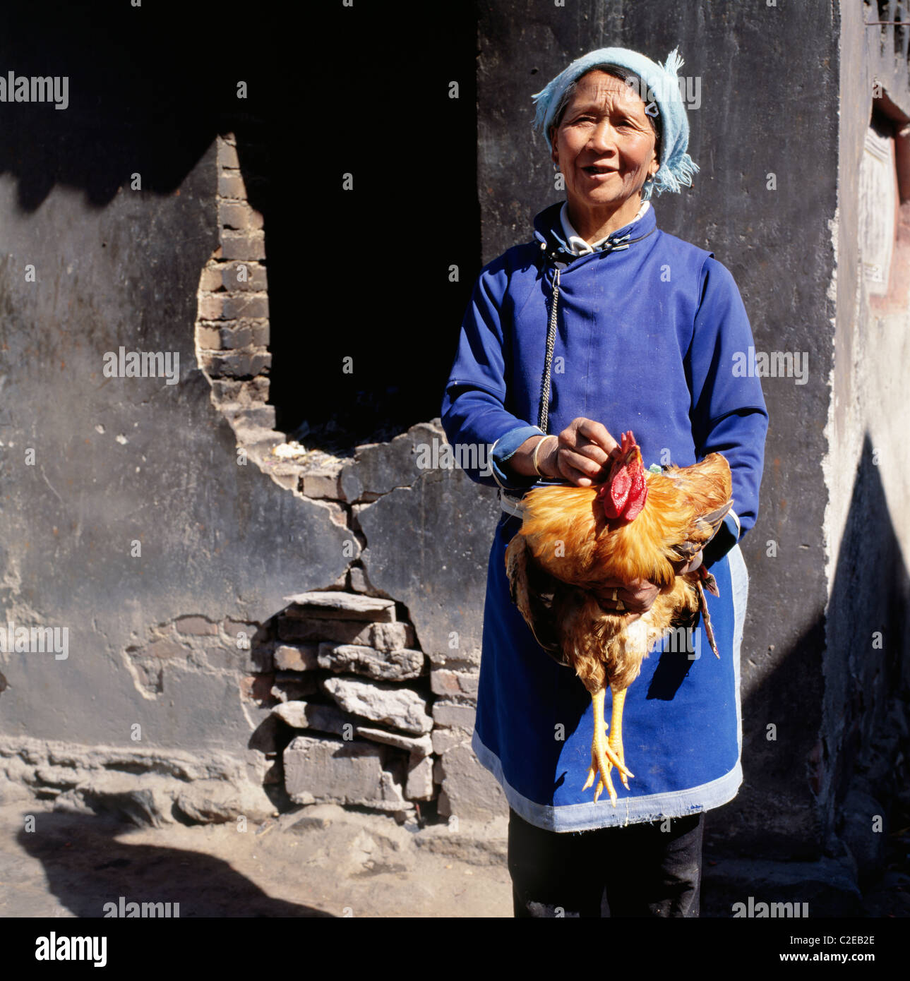 Dali Yunnan Province China woman holding chicken poultry food house ...