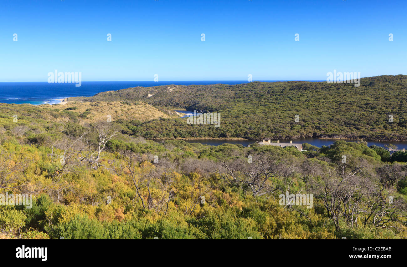 Winding Bush High Resolution Stock Photography and Images - Alamy