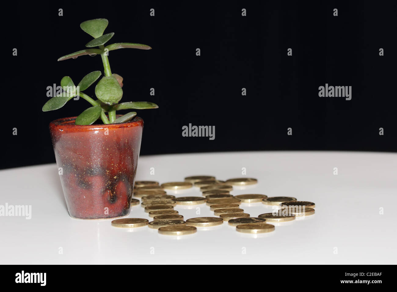 Australian dollar coins hi-res stock photography and images - Alamy