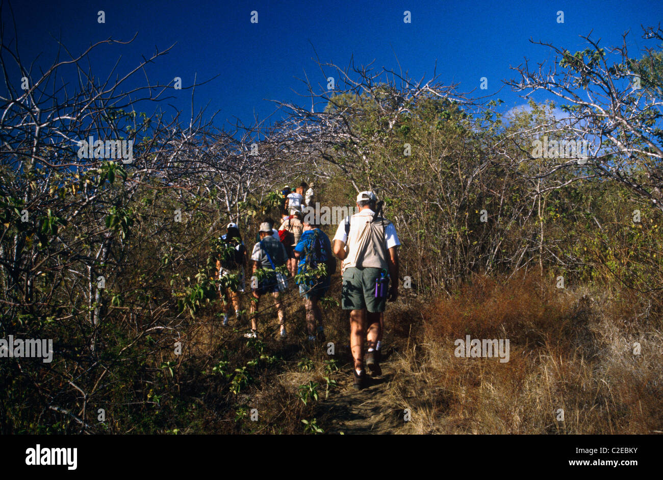 Volcan darwin hi-res stock photography and images - Alamy