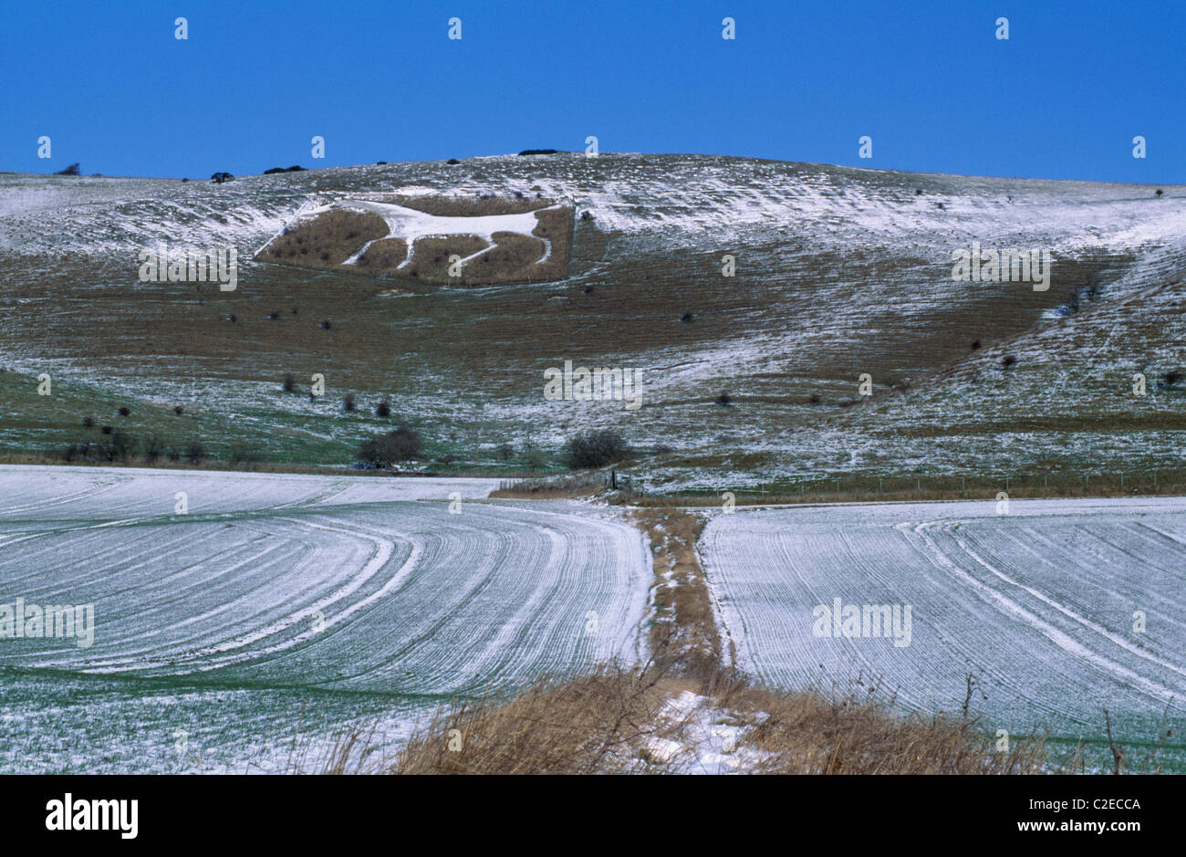 White horse at alton barnes hi-res stock photography and images - Alamy