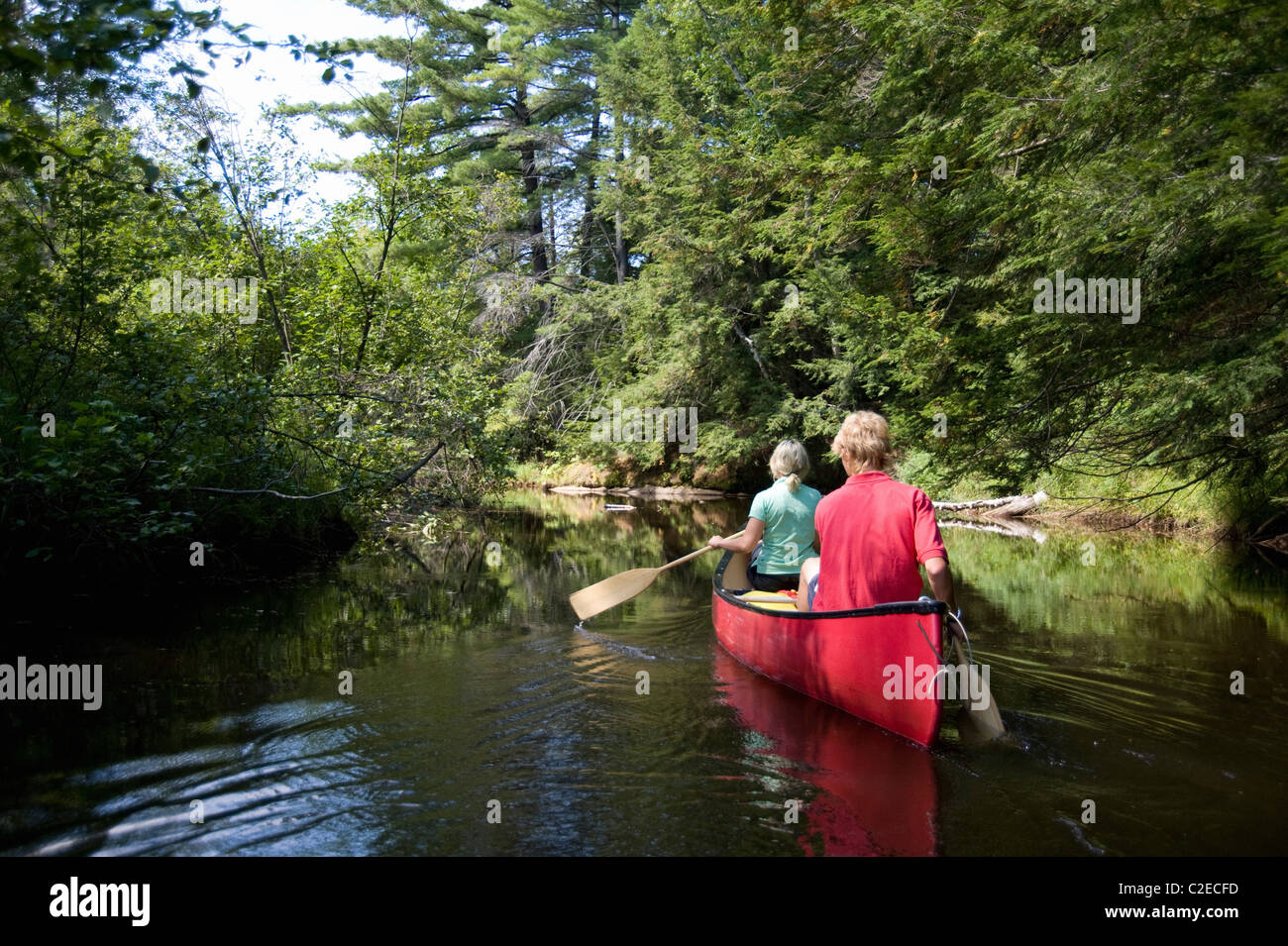 Muskokas, Ontario, Canada; Couple Canoeing Down A River Stock Photo - Alamy
