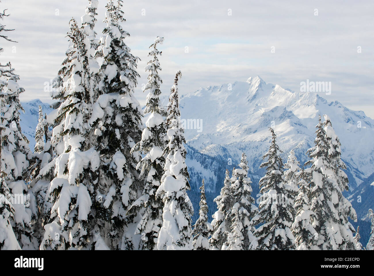 Mountain scenic in British Columbia's Coast mountain range in Whistler ...