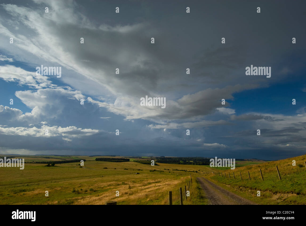 Chalk salisbury plain hi-res stock photography and images - Alamy