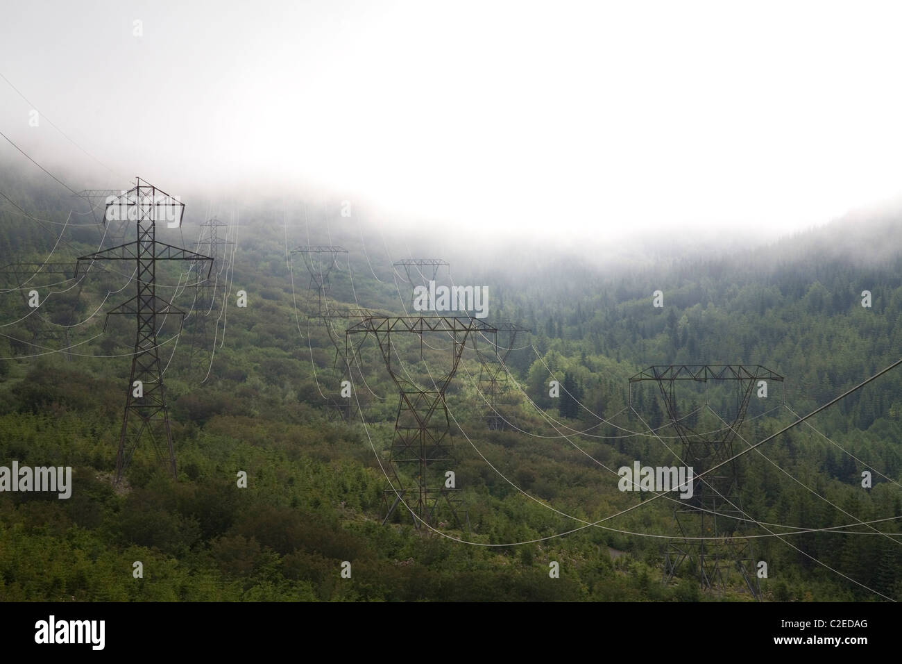 Fog Along Lolo Pass, Mount Hood, Oregon Cascades, Usa Stock Photo - Alamy