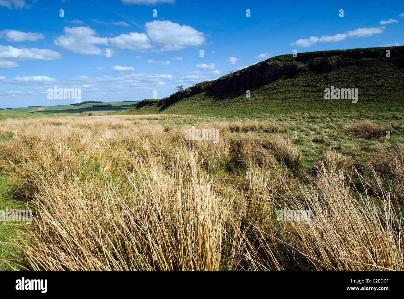 Stanegate Road Northumberland England Stock Photo - Alamy