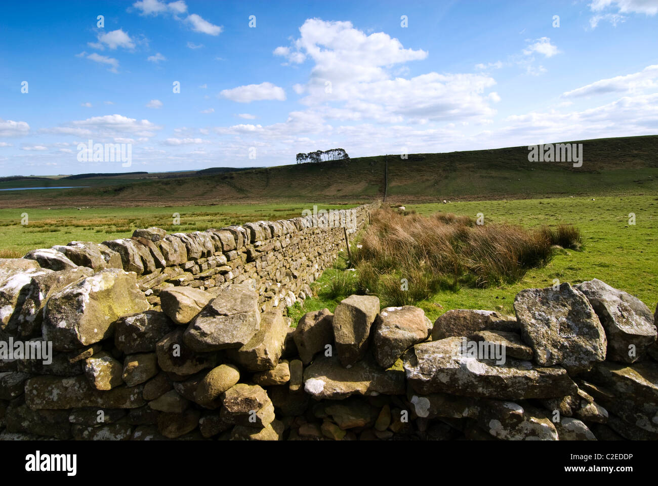 Stanegate Road Northumberland England Stock Photo - Alamy